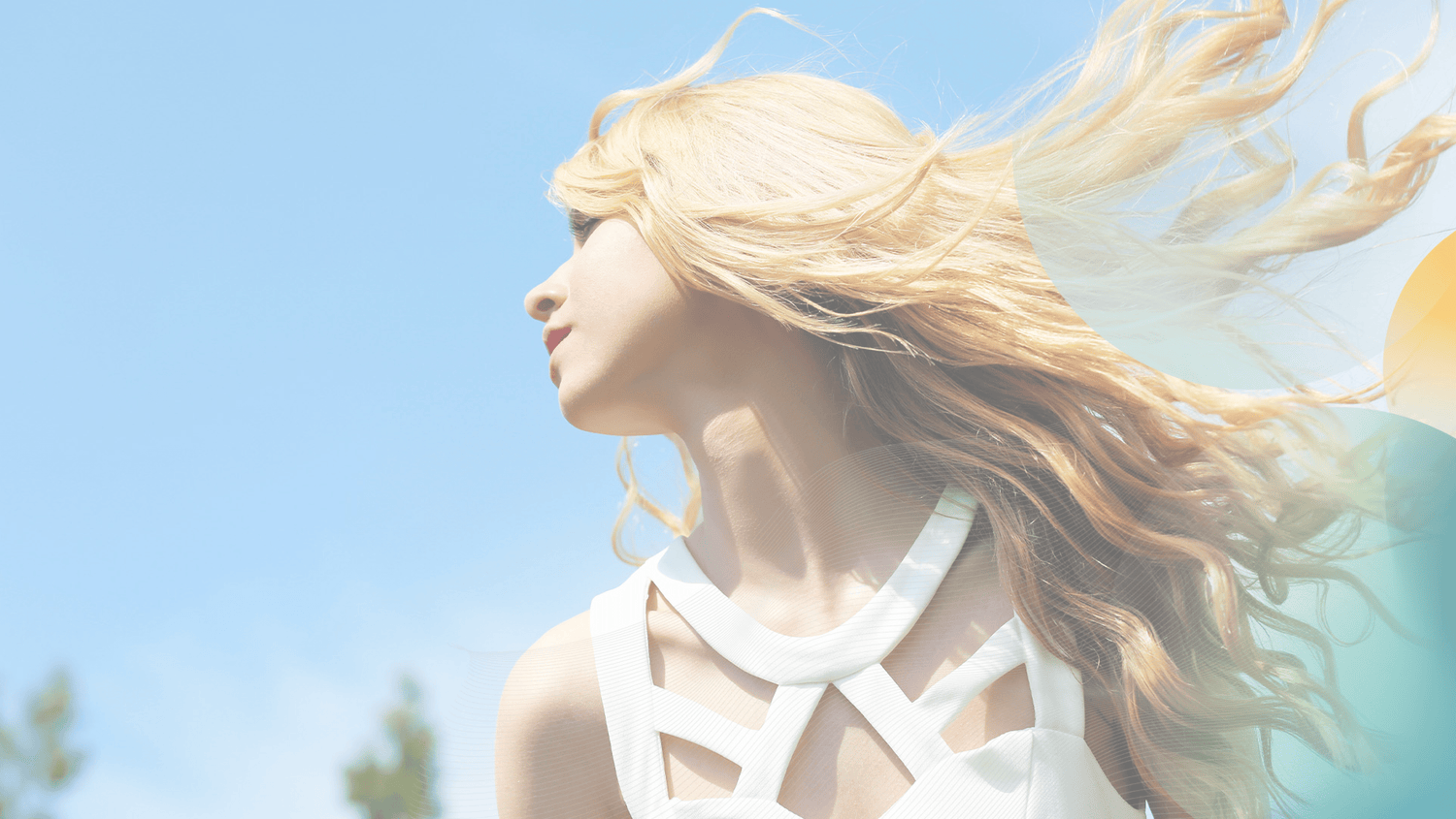 Que+ Hair Growth Serum™: Science-Based Hair Care – Follicle Labs